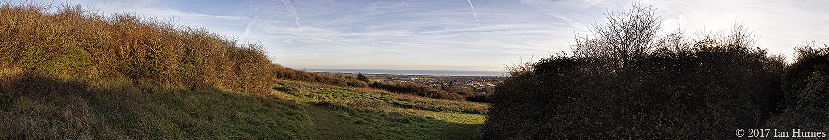 Panoramic Landscape Page 22 - Woodlands and Scrub by Ian Humes
